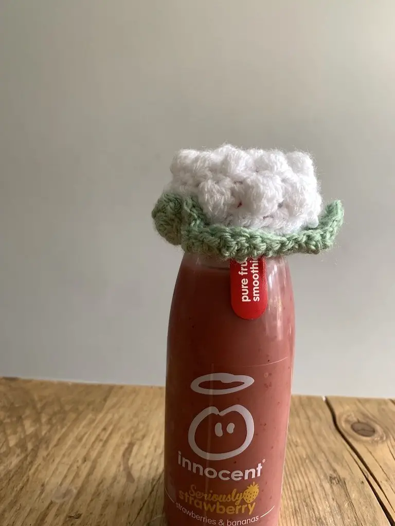 The Big Knit - Hat 11 - Cauliflower - off the hook for you